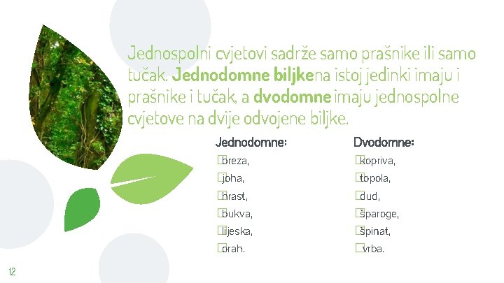 PREDMET BOTANIKA Tema Biljni vegetativni i generativni organi