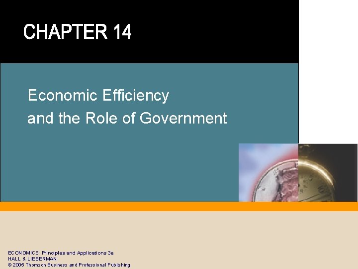 Economic Efficiency and the Role of Government ECONOMICS