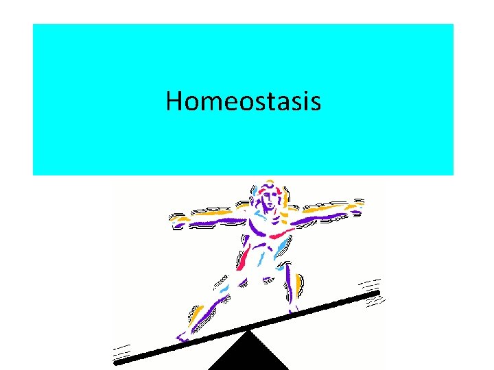 Homeostasis WHAT YOU MUST KNOW 1 The importance