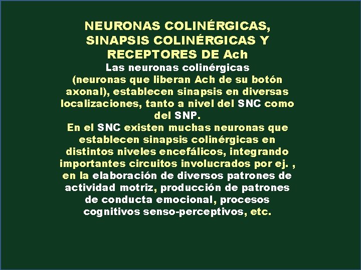 FRMACOS AGONISTAS Y ANTAGONISTAS COLINRGICOS EL NEUROTRANSMISOR Ach