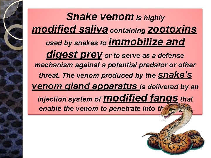 Surprise Strike of Snakes Saliva Presented by Don