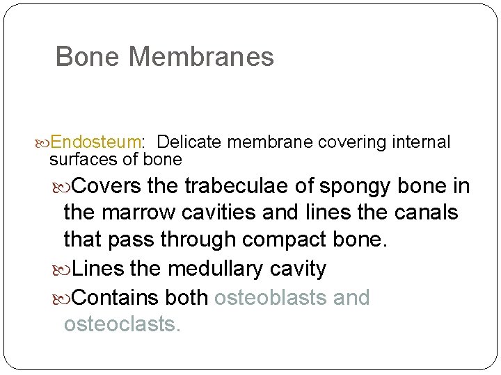 Lab Activity 7 Bone Histology Martini Chapter 6