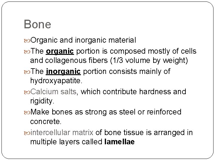 Lab Activity 7 Bone Histology Martini Chapter 6