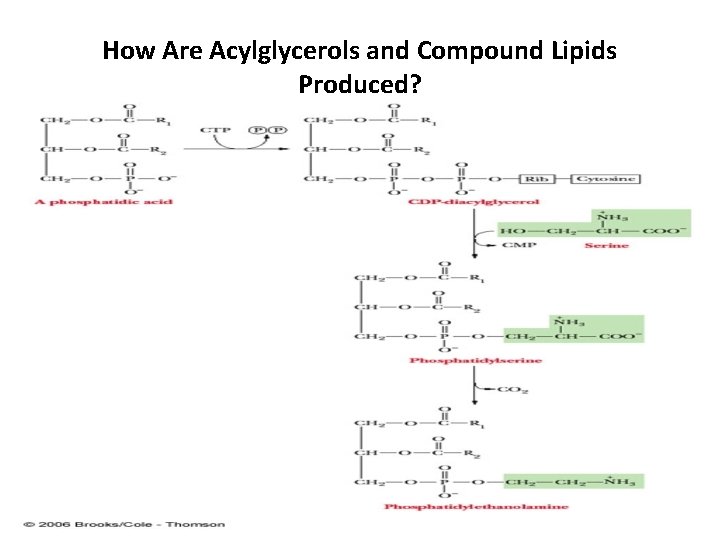 Membrane Lipids Cholesterol Metabolism Learning Objectives 1 How