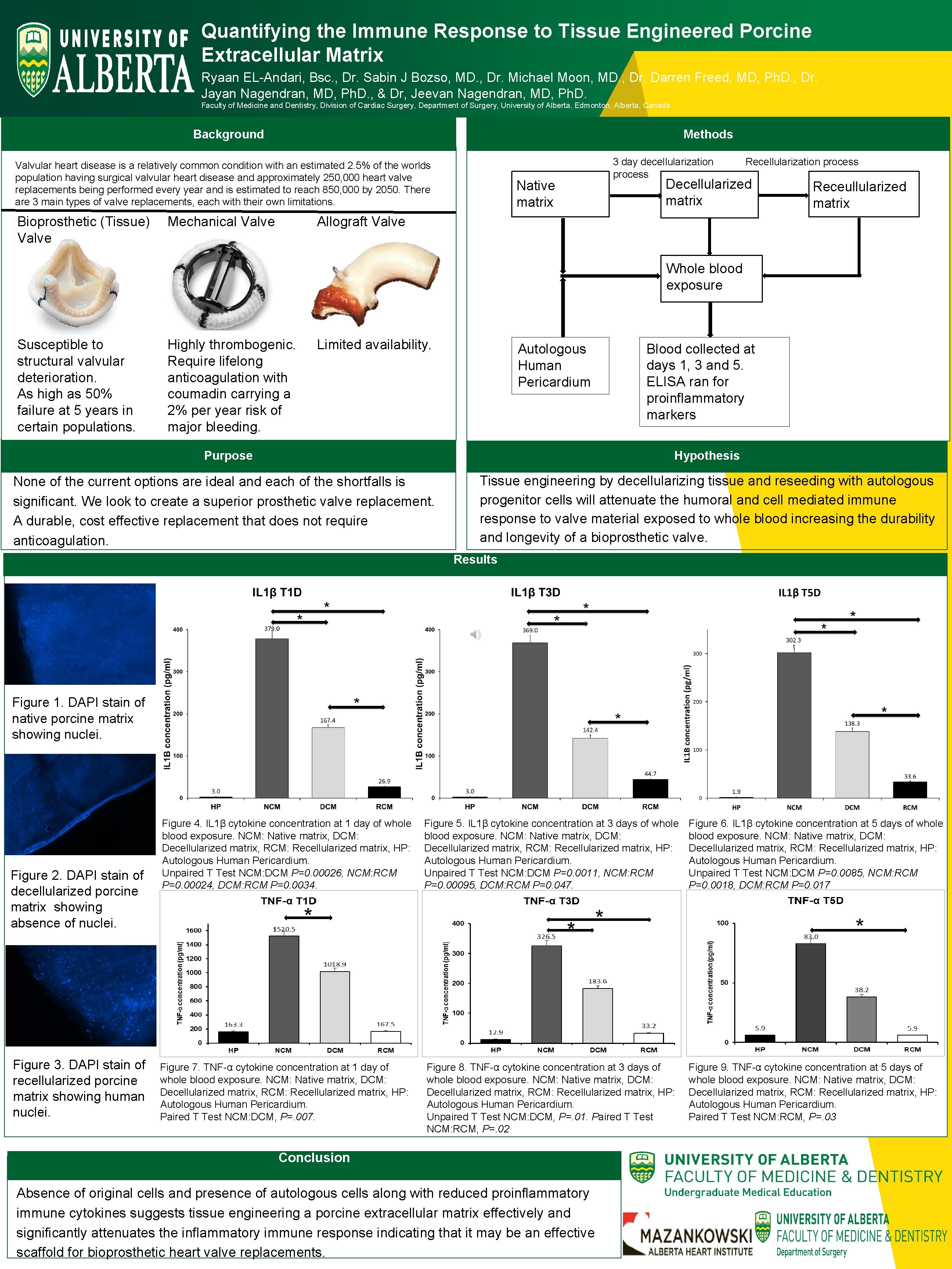 Quantifying The Immune Response To Tissue Engineered Porcine