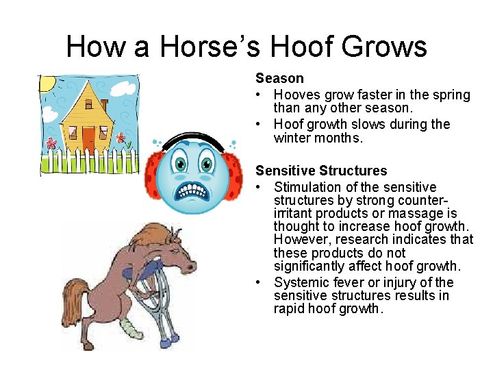 Basics of Hoof Care No Hoof No Horse