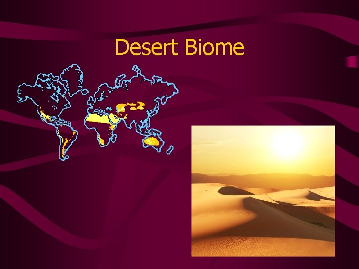 Option 7 Soils and Biome Desert Biome Notice