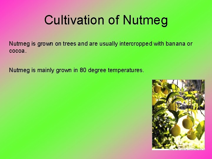 Raquel Martinez Morgan Ayers Amber Cavanaugh Kevin Nelson