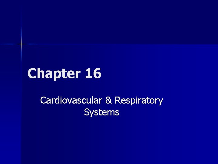 Chapter 16 Cardiovascular Respiratory Systems Functions of the