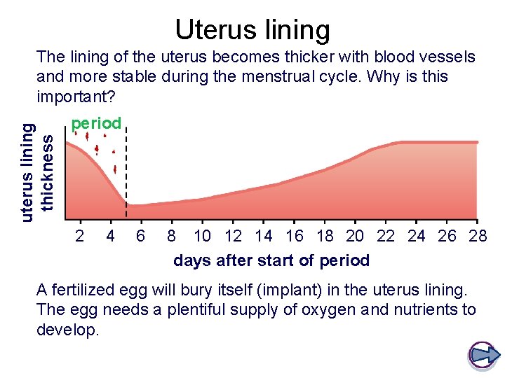 WALT Describe how the menstrual cycle works All