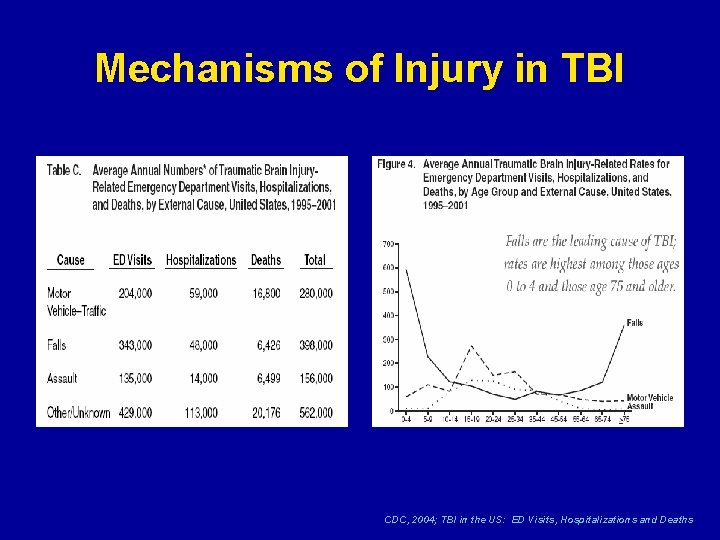 Traumatic Brain Injury Jason A Demery Ph D