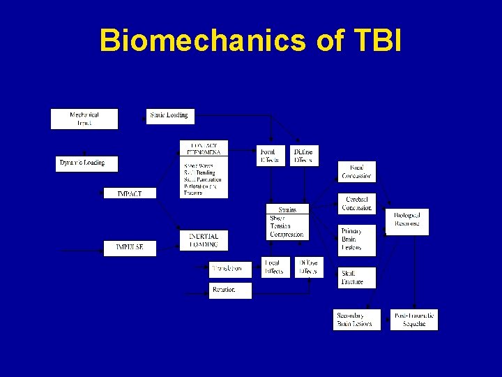 Traumatic Brain Injury Jason A Demery Ph D