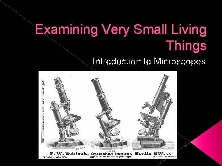 Examining Very Small Living Things Introduction to Microscopes