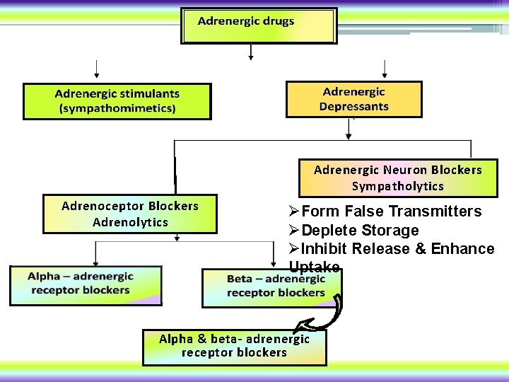 PHARMACOLOGY OFADRENERGICS Agonists Antagonist Adrenergic Neuron ...