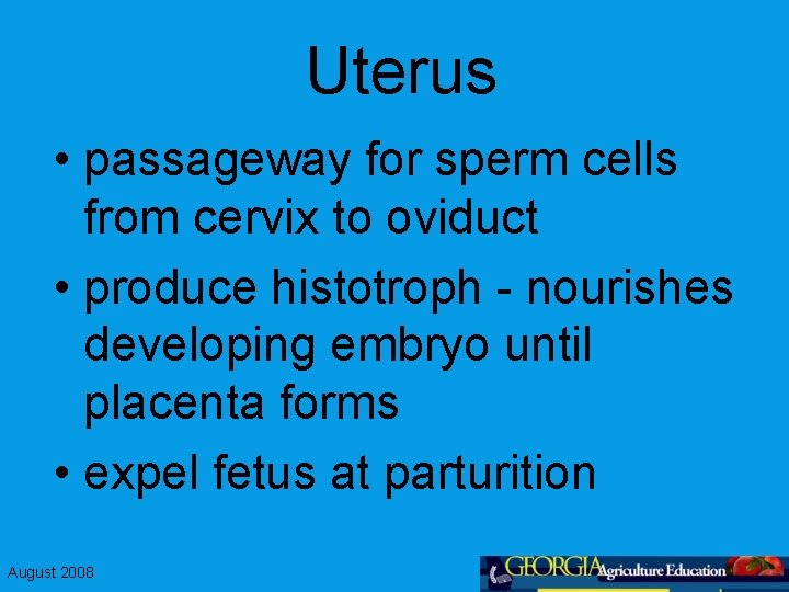 Female Reproductive Tract Original Power Point Created by