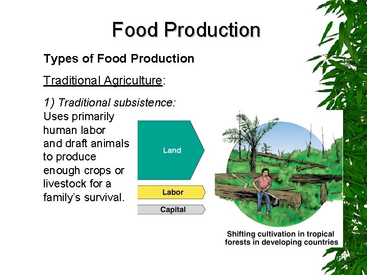 AP Environmental Science Food Resources BrooksCole Publishing Company