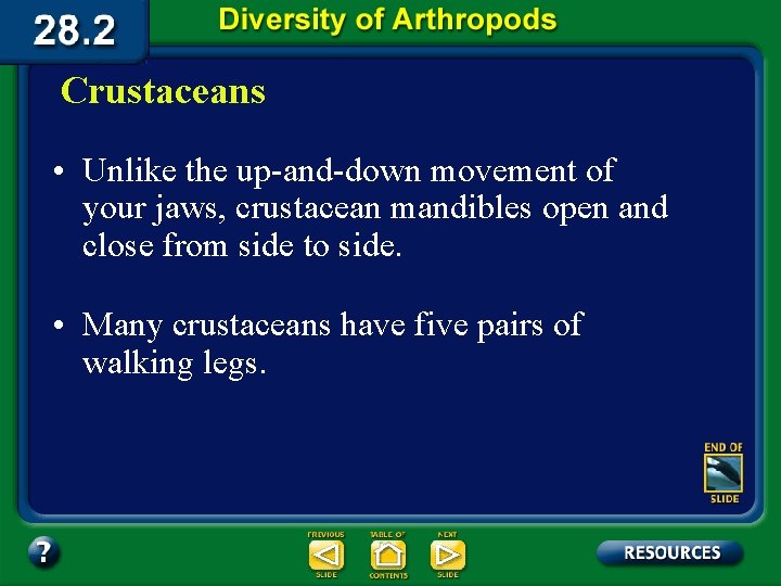 Arachnids Crustaceans and Horseshoe crabs NOTES What is