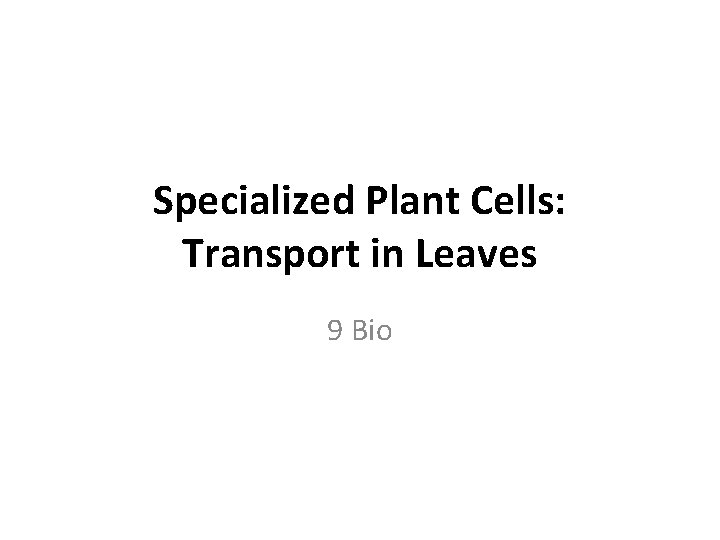Specialized Plant Cells Transport in Leaves 9 Bio