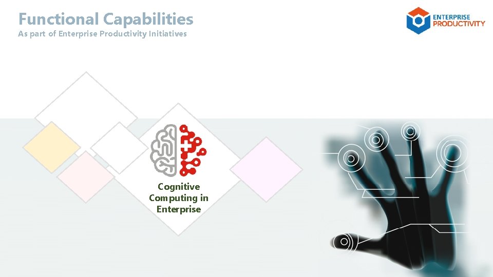 Functional Capabilities As part of Enterprise Productivity Initiatives
