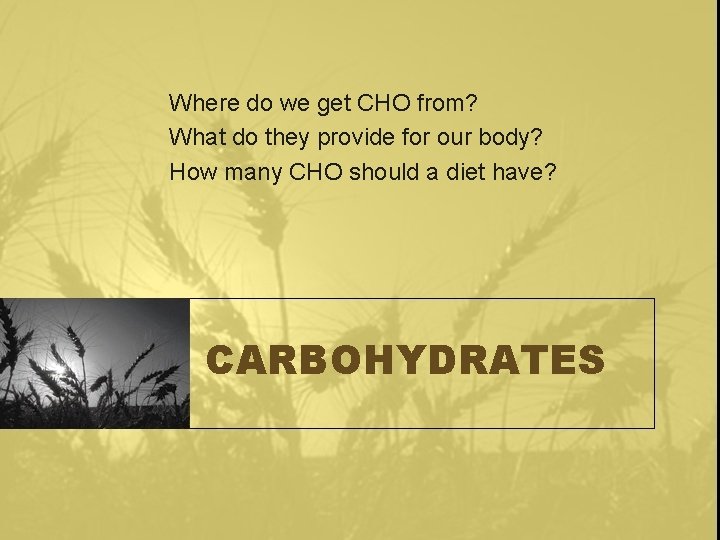 Where do we get CHO from What do