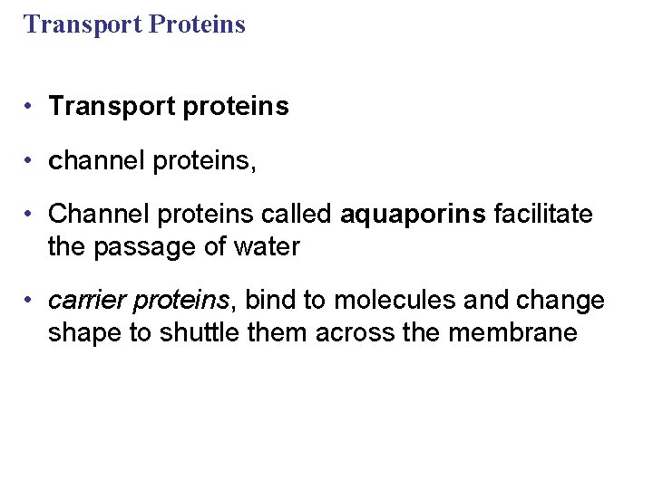 Membrane Structure and Function The boundary that separates