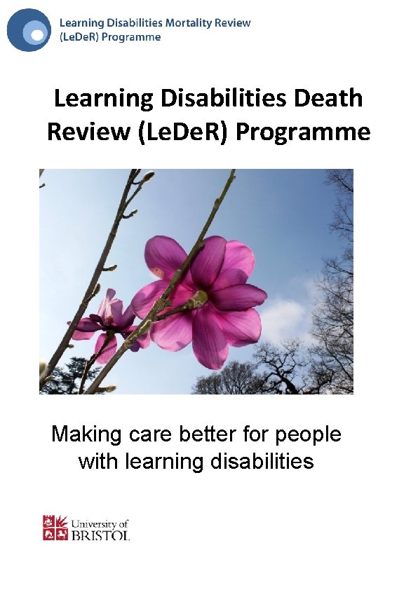 Learning Disabilities Death Review Le De R Programme