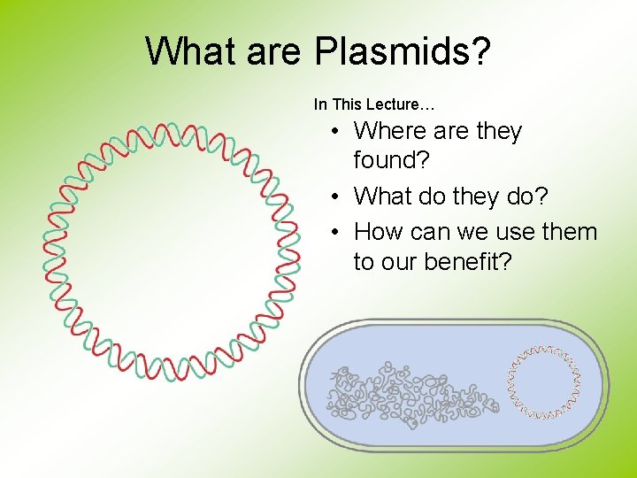 Biotechnology Recombinant DNA and its Applications Michael J
