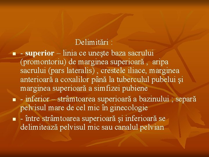 PERINEUL I CAVITATEA PERITONEAL Dr Boitor Luminita Ecaterina