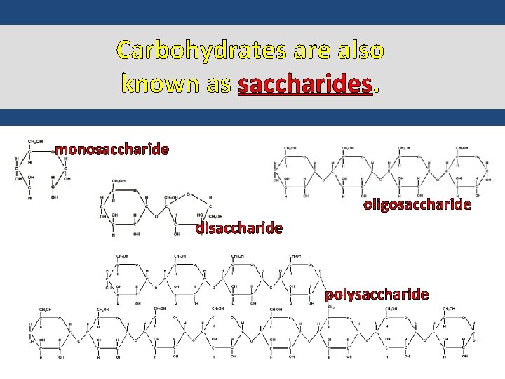 The Function of Biomolecules Carbohydrates are made of