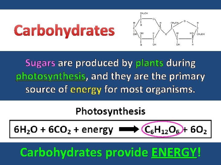 The Function of Biomolecules Carbohydrates are made of