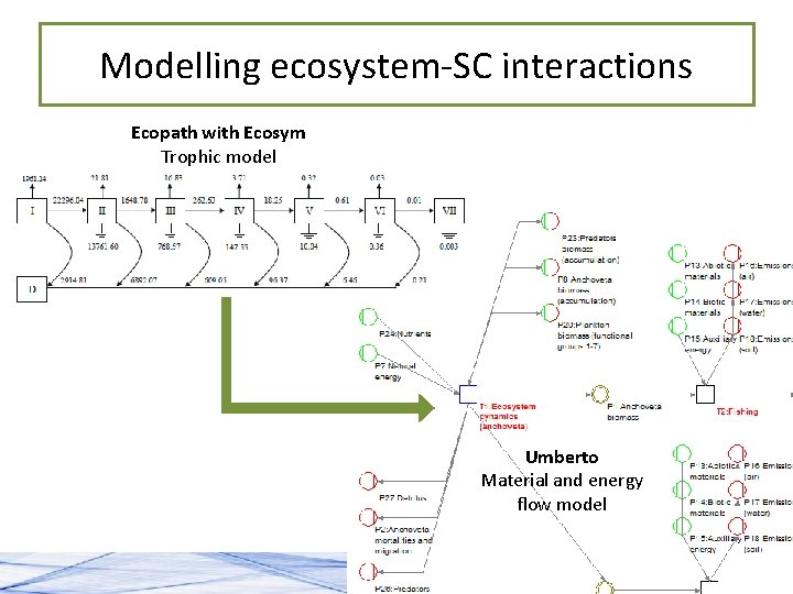 Sustainability of the Peruvian anchovetabased supply chains from