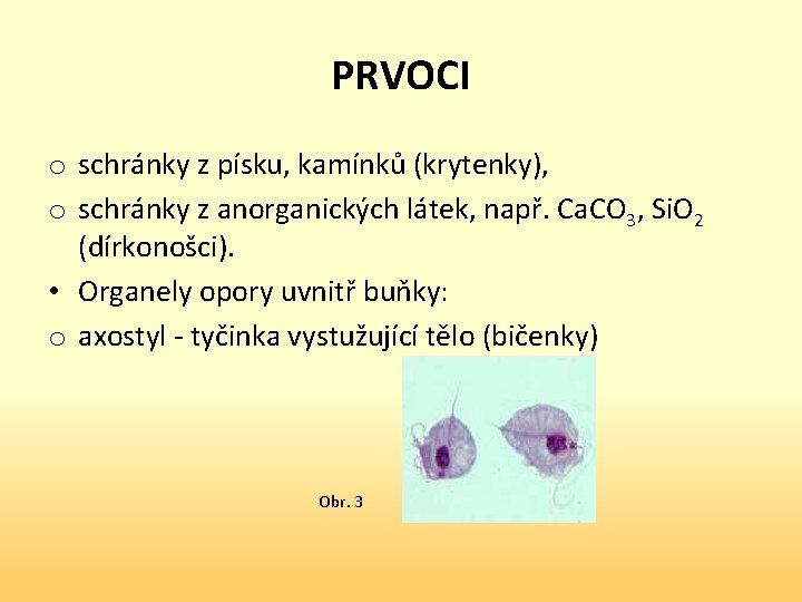 Soustava kostern prvok a mkk Tematick oblast Biologie
