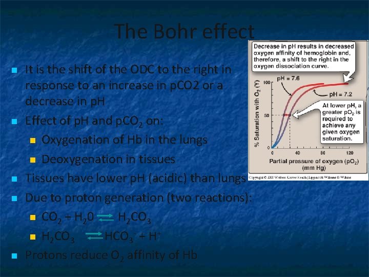 Structure and function of hemoglobin Objectives By the