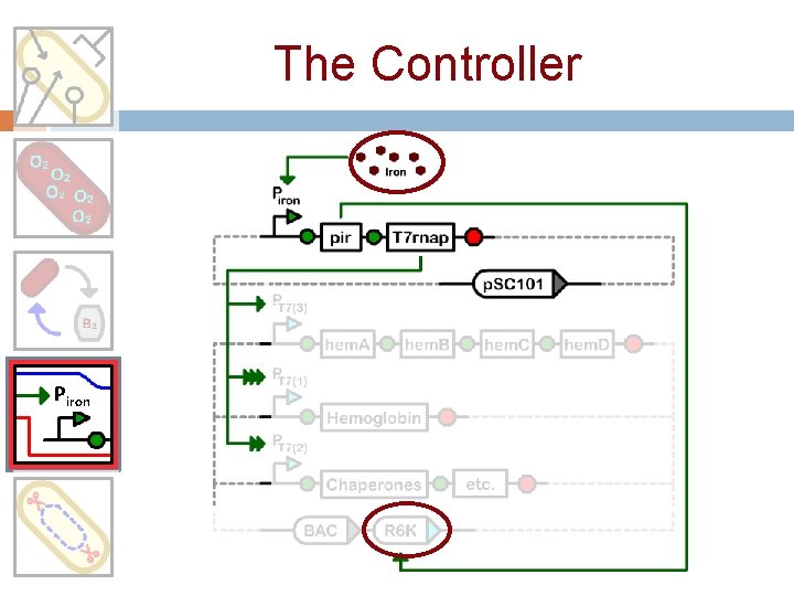 BACTOBLOOD Researchers Arthur Yu Austin Day David Tulga