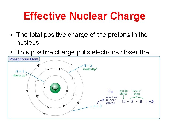 Organization of the Periodic Table What are some
