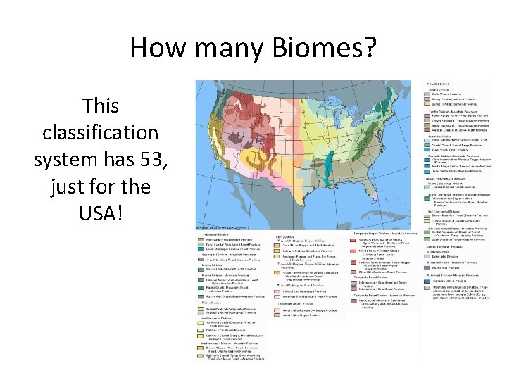 Terrestrial Biomes What is a biome Prentice Hall