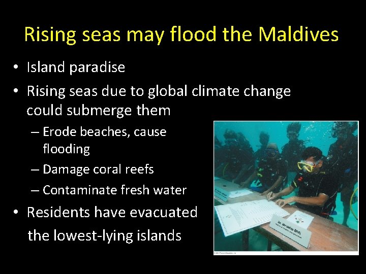 The Maldives Rising seas may flood the Maldives