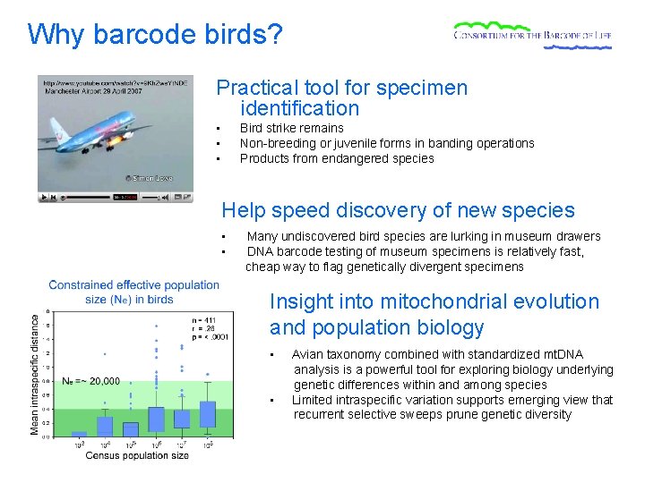 All Birds Barcoding Initiative ABBI goal create DNA