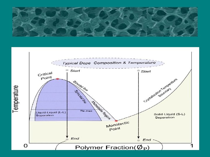 SCAFFOLD FOR TISSUE ENGINEERING BIOMATERIALS ENT 311 LECTURE
