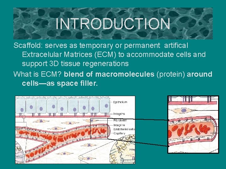 SCAFFOLD FOR TISSUE ENGINEERING BIOMATERIALS ENT 311 LECTURE