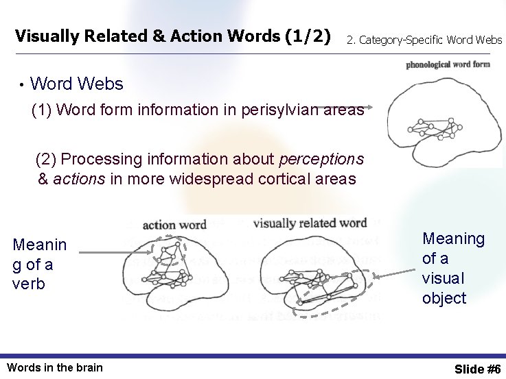 Chap 4 Words in the brain 2008 10