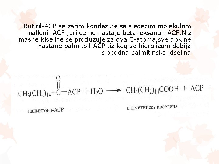 Biosinteza aminokiselina Nikola IV1 Biosintetski procesi Zivi organizmi