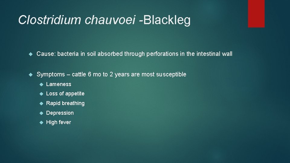 Diseases of Beef Cattle INTRO TO ANIMAL SCIENCE