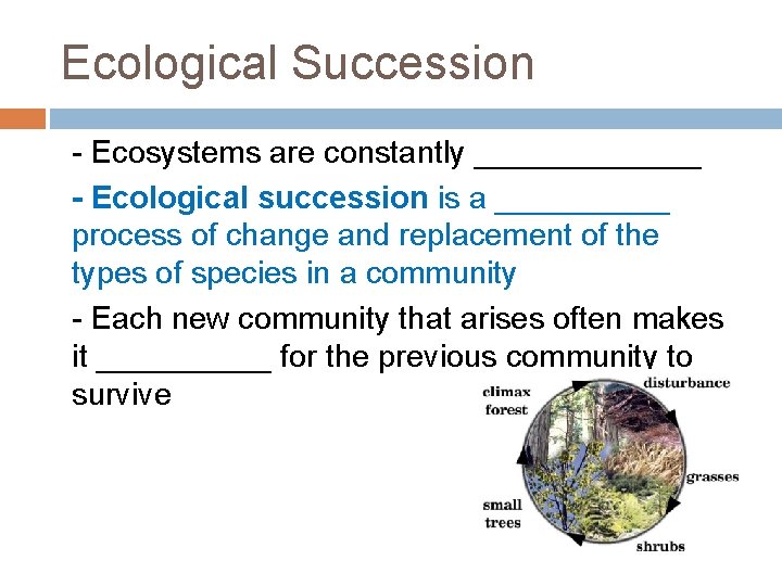CH 5 HOW ECOSYSTEMS WORK Section 3 How