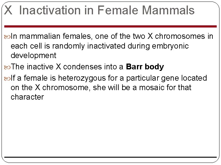 CHAPTER 12 THE CHROMOSOMAL BASIS OF INHERITANCE Genes