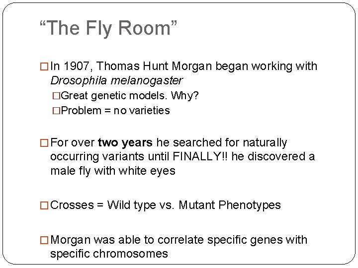 CHAPTER 12 THE CHROMOSOMAL BASIS OF INHERITANCE Genes