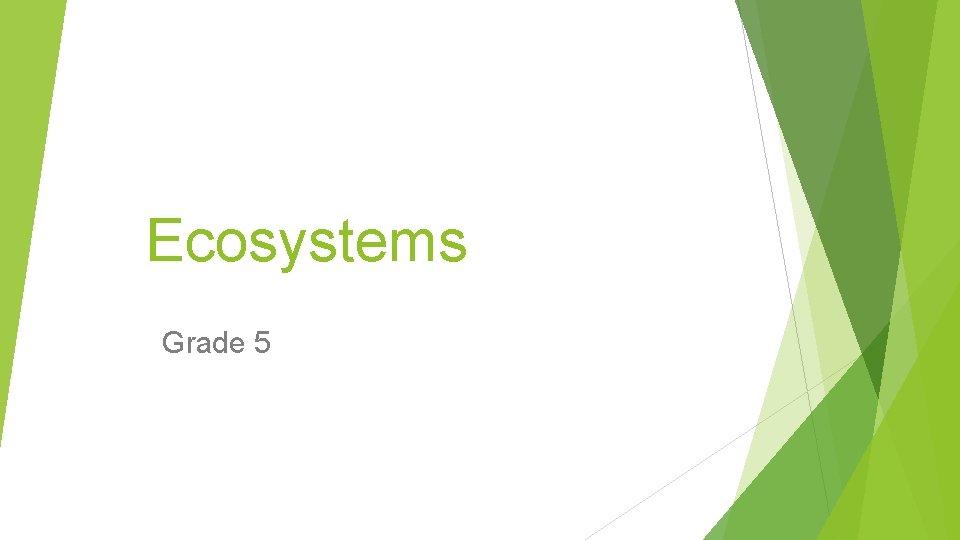 Ecosystems Grade 5 Notes to study and copy