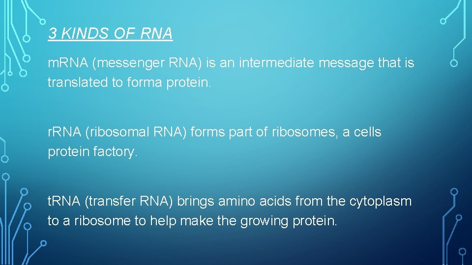 PROTEIN SYNTHESIS OBJECTIVES EXPLAIN THE BASIC PROCESSES OF