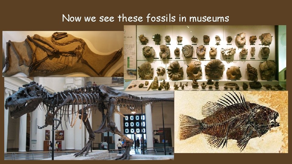 What do we know about LO To understand