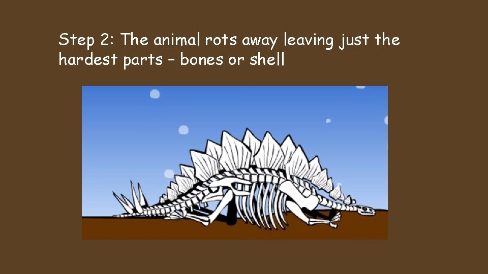 What do we know about LO To understand